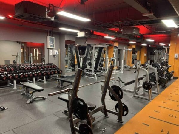 10 Best Gyms in Manchester 2024 (Plus Bonus Gyms) | The Fitness Group