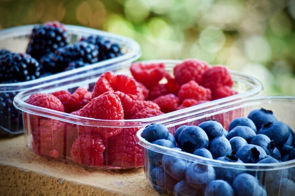 Nutritionist Qualifications: Pathways | The Fitness Group